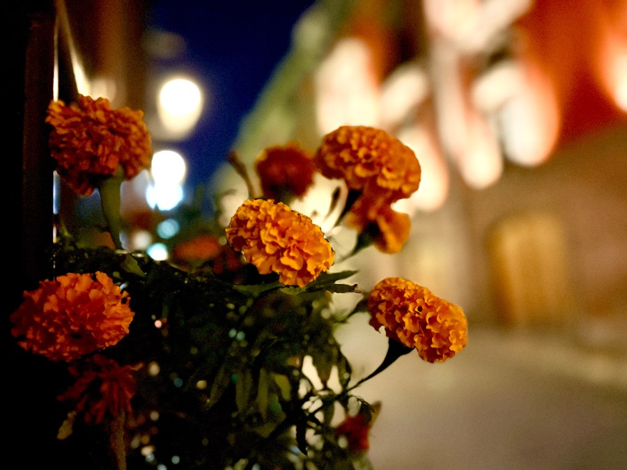 The hidden world of San Miguel de Allende – Empty Nest Wanderings